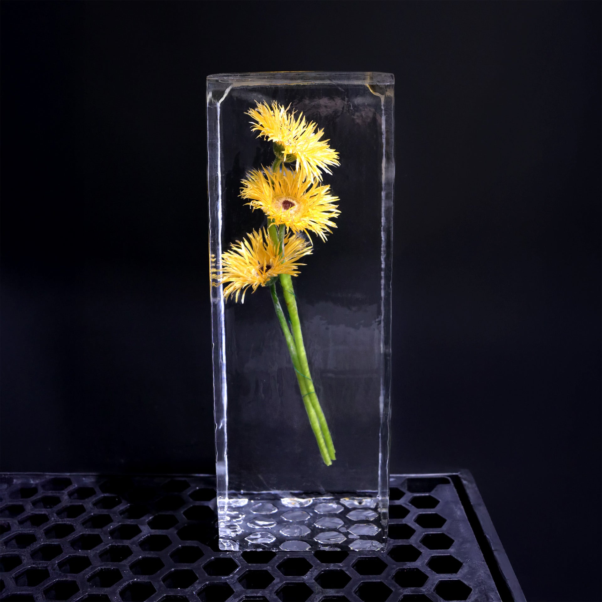 'Yellow Gerbera' Floral Ice Block | Icepac